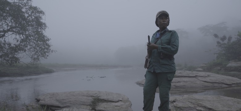 SILENT FOREST - Festival International du Film black de Montréal